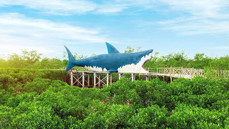 Đồi Rồng Tour – Vi Vu Hải Phòng – Vinwonder Booking